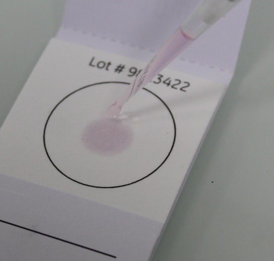 Easy Myco Test - PACK de 50 (kit de détection des mycoplasmes par qPCR ...