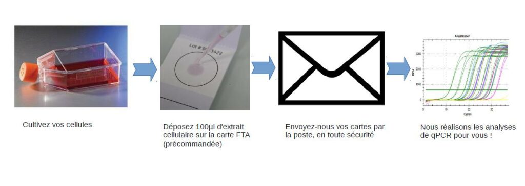 EASY-MYCO-TEST® : Easiest Detection Kit - Laboratoire AXIOTIS